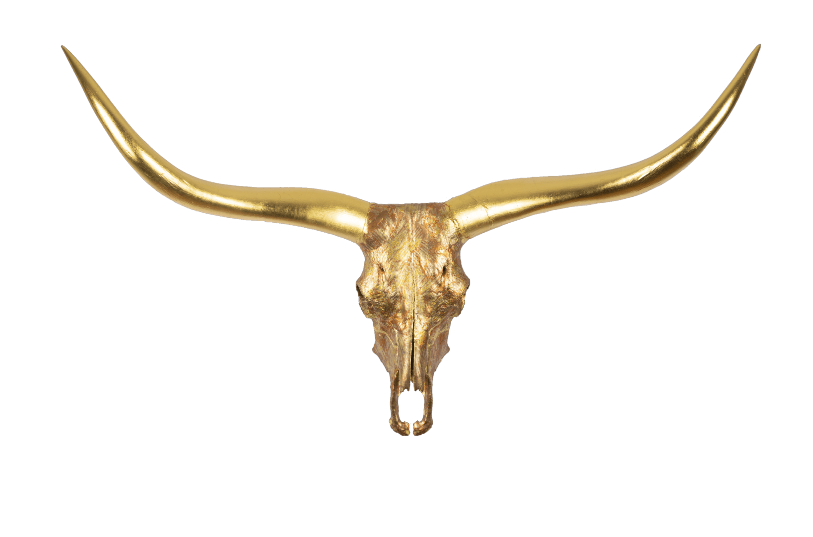 Texas Longhorn | Toscano Designs